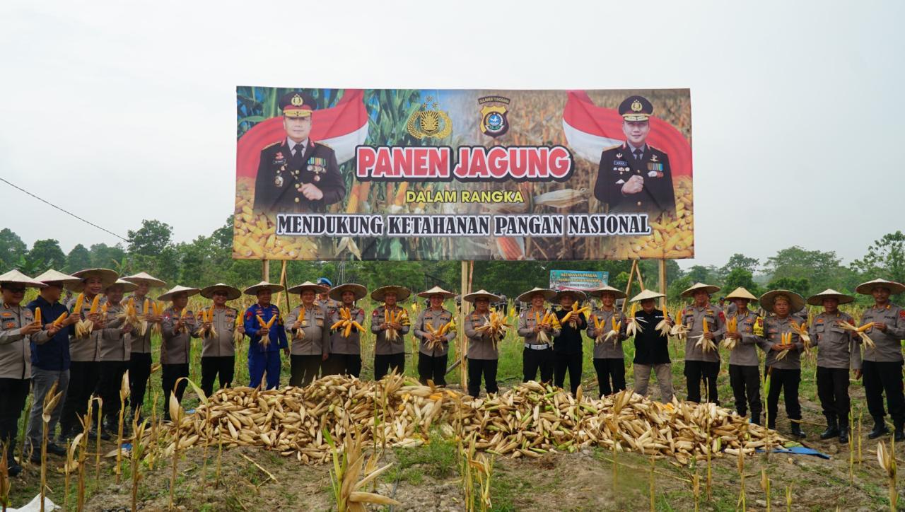 Dukung Program Ketahanan Pangan Nasional Polda Sultra Panen Jagung dan Tabur 1000 Benih Ikan di ...