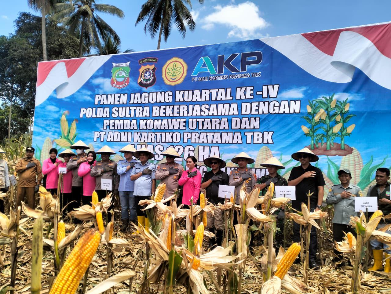 Panen Raya Jagung di Konawe Utara: Wujud Sinergi Polda Sultra, Pemda ...